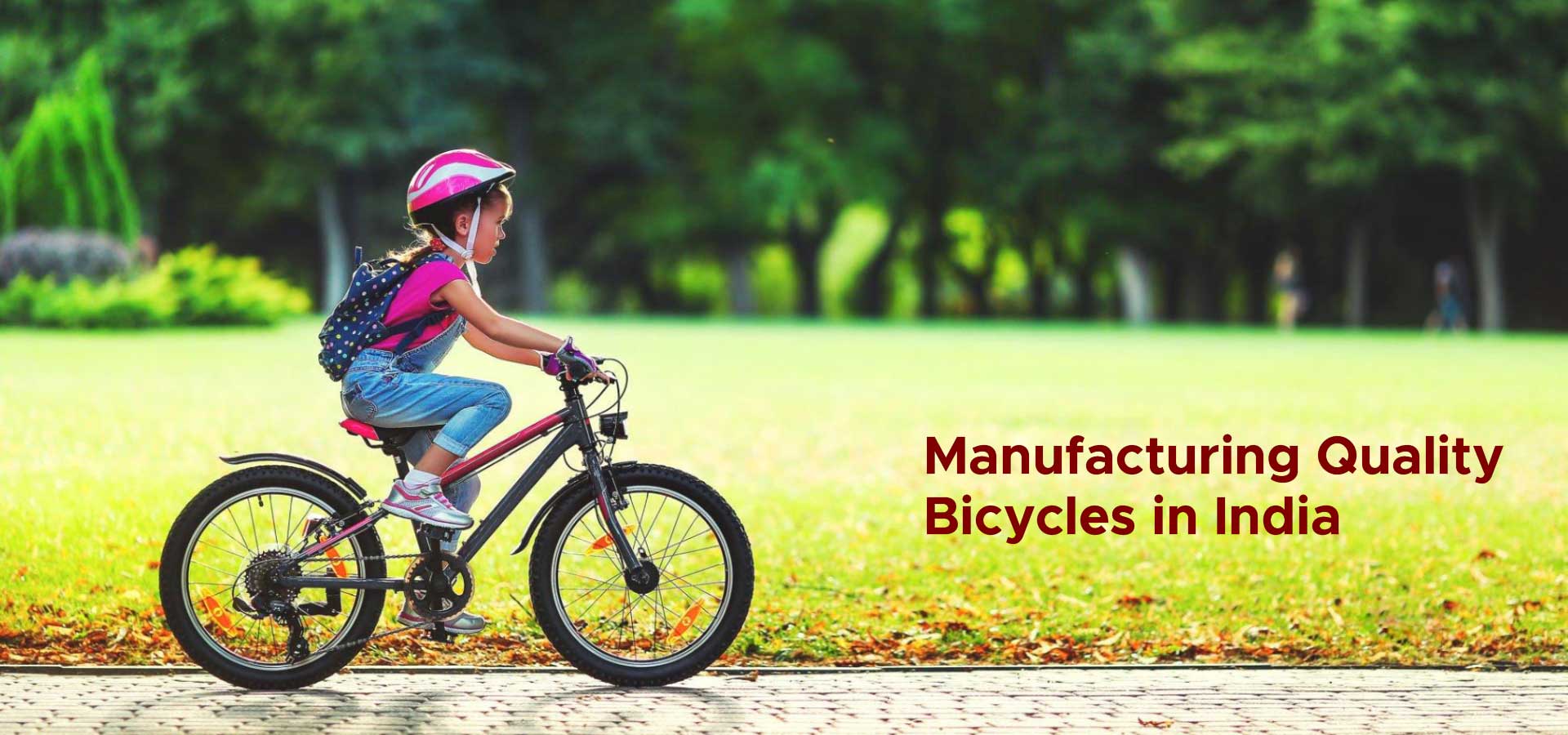 Home - Eastman Bikes